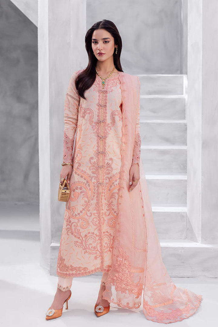 New Arrivals | Latest Dress Designs | Mushq International